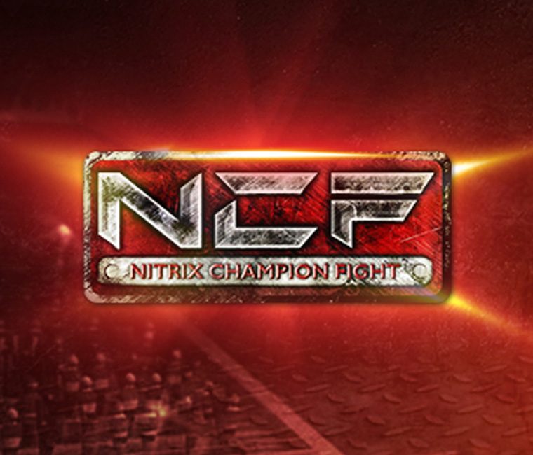 Nitrix Champion Fight - Portfolio - Vivapixel